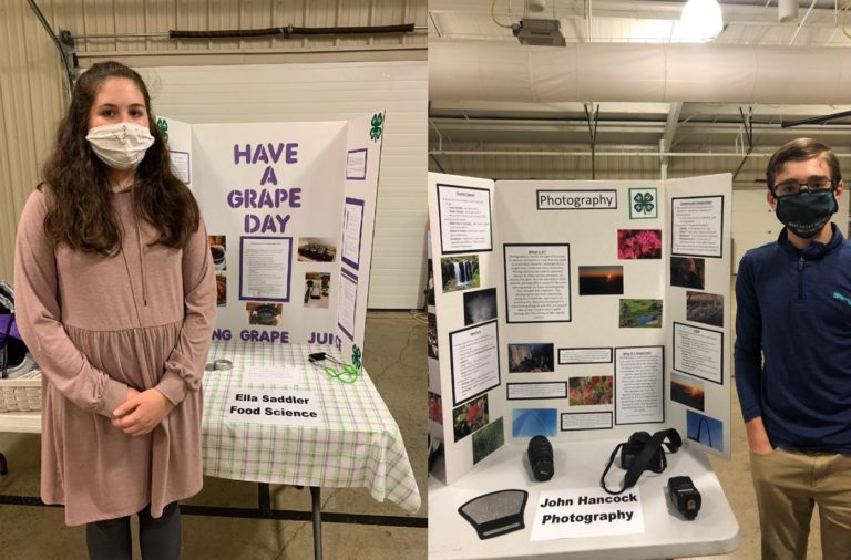 4-H Demonstration and Interactive Exhibit Contest | Wilson County